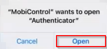 Register Devices for Microsoft Authenticator SSO (iOS/ iPadOS)