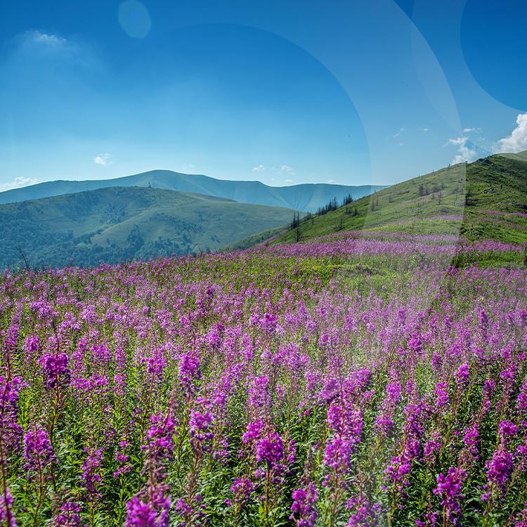 SOTI Snap 2024.1 | Generate Forms with AI | Approval Workflow Updates